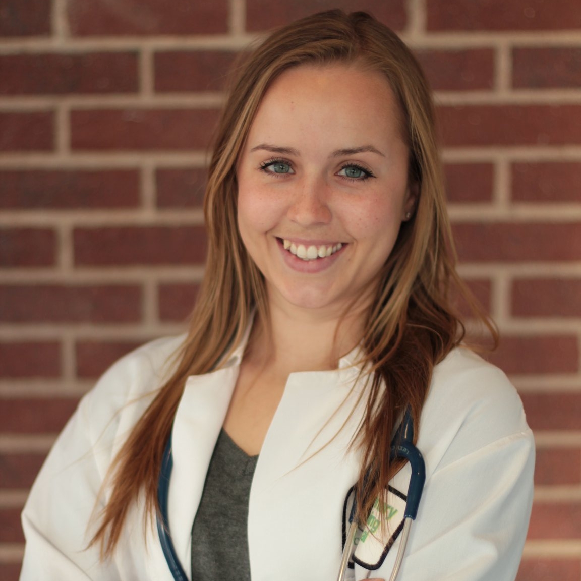 Northern Lights – mobile integrative veterinary services